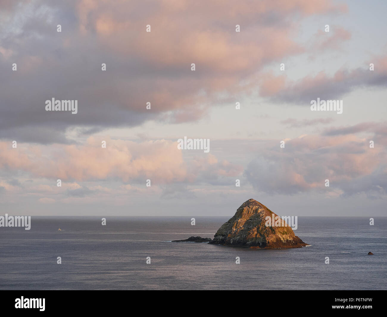 Oregon island national wildlife hi-res stock photography and images - Alamy