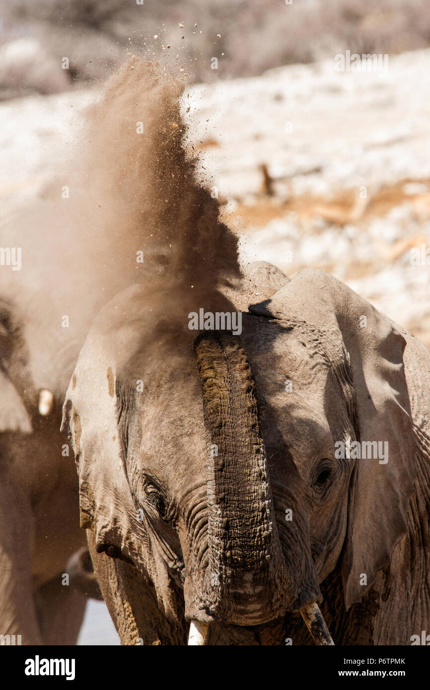 Dust dust hi-res stock photography and images - Alamy