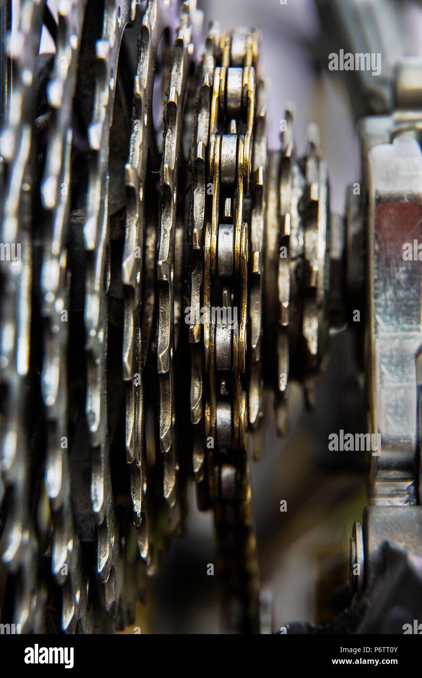 Gold rivets hi-res stock photography and images - Alamy