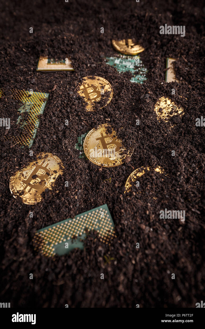 Golden bitcoin with processor hidden in the ground Stock Photo - Alamy