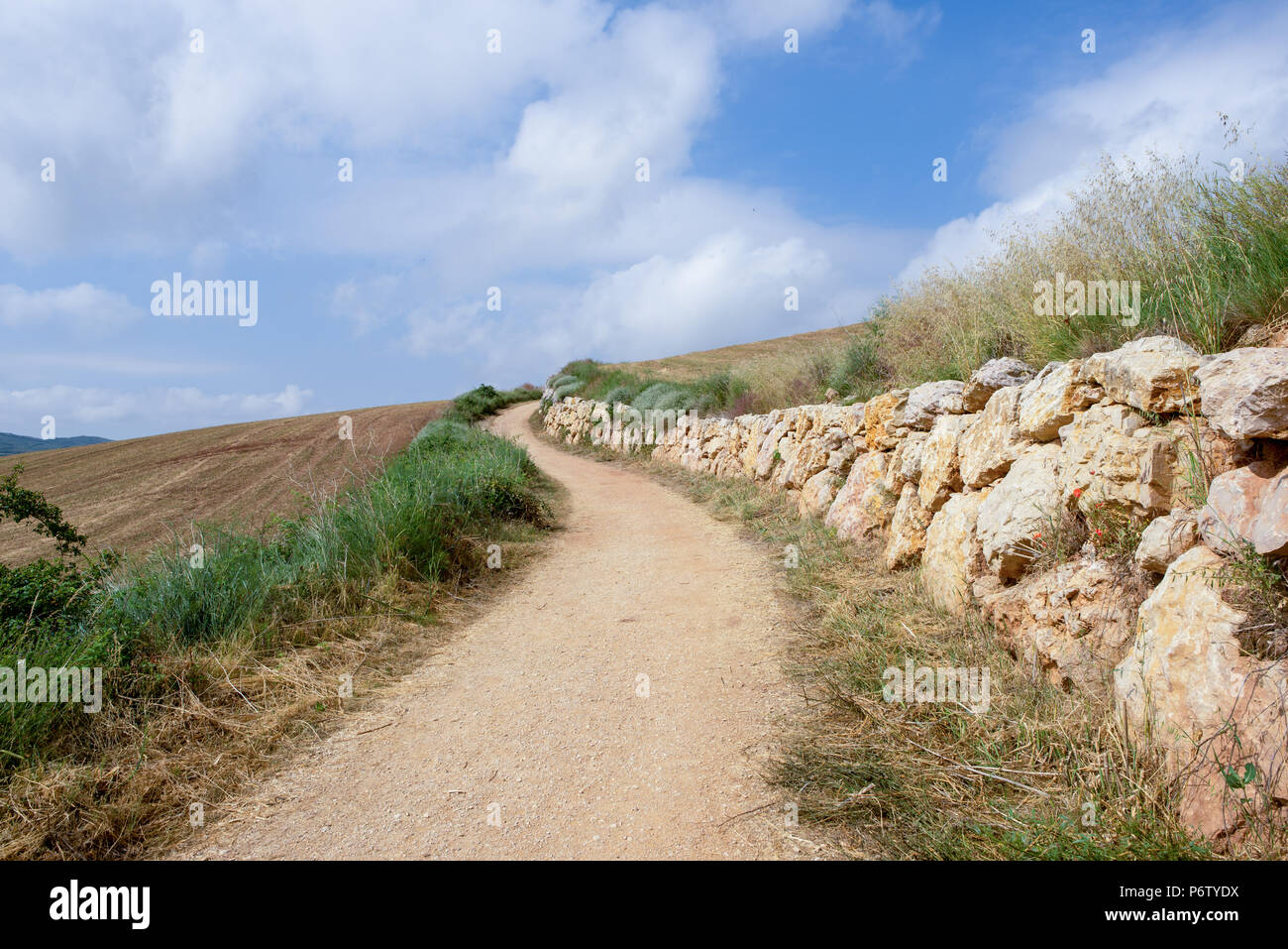 Camino de Santiago as it passes through Navarra, Spain Stock Photo - Alamy