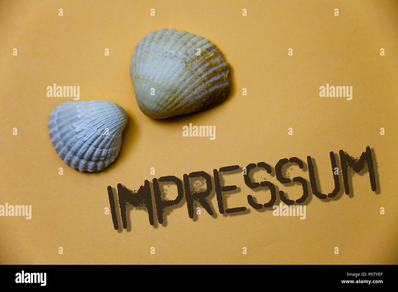 Identification of shells hi-res stock photography and images - Alamy