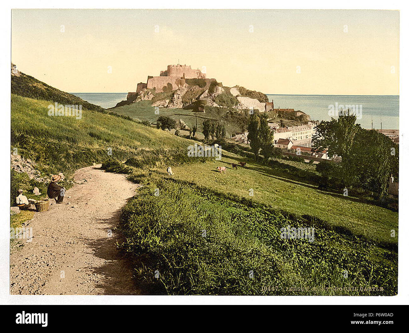 Old vintage photo forest Cut Out Stock Images & Pictures - Alamy