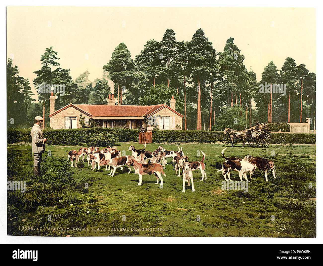 Man with dog vintage photo hi-res stock photography and images - Alamy