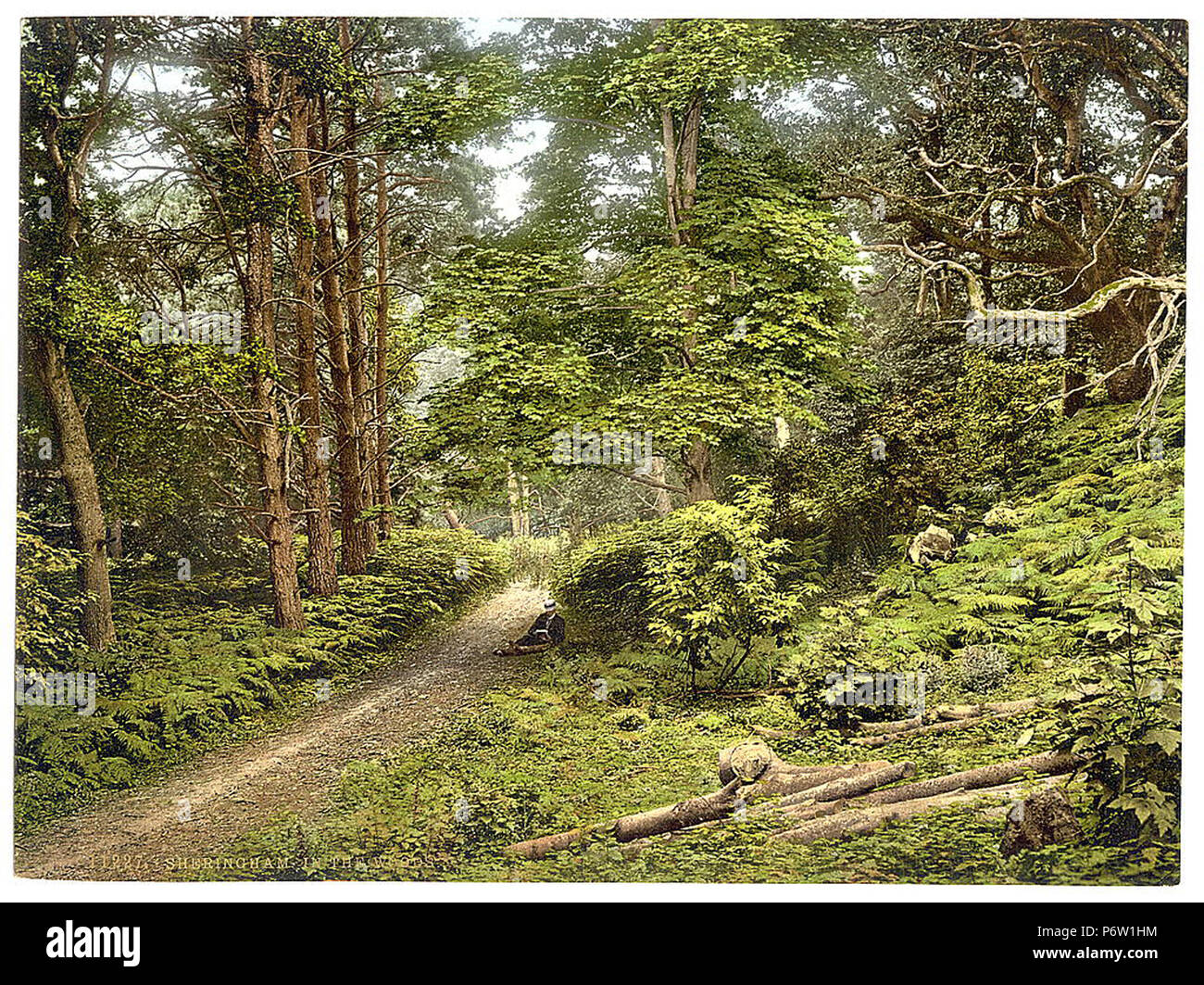 vintage photo nature photography Stock Photo - Alamy