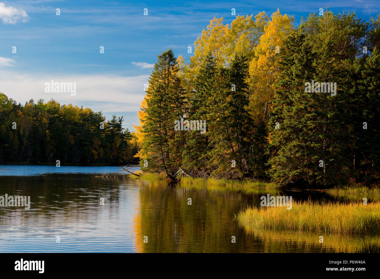 Fall foliage along lake hi-res stock photography and images - Alamy