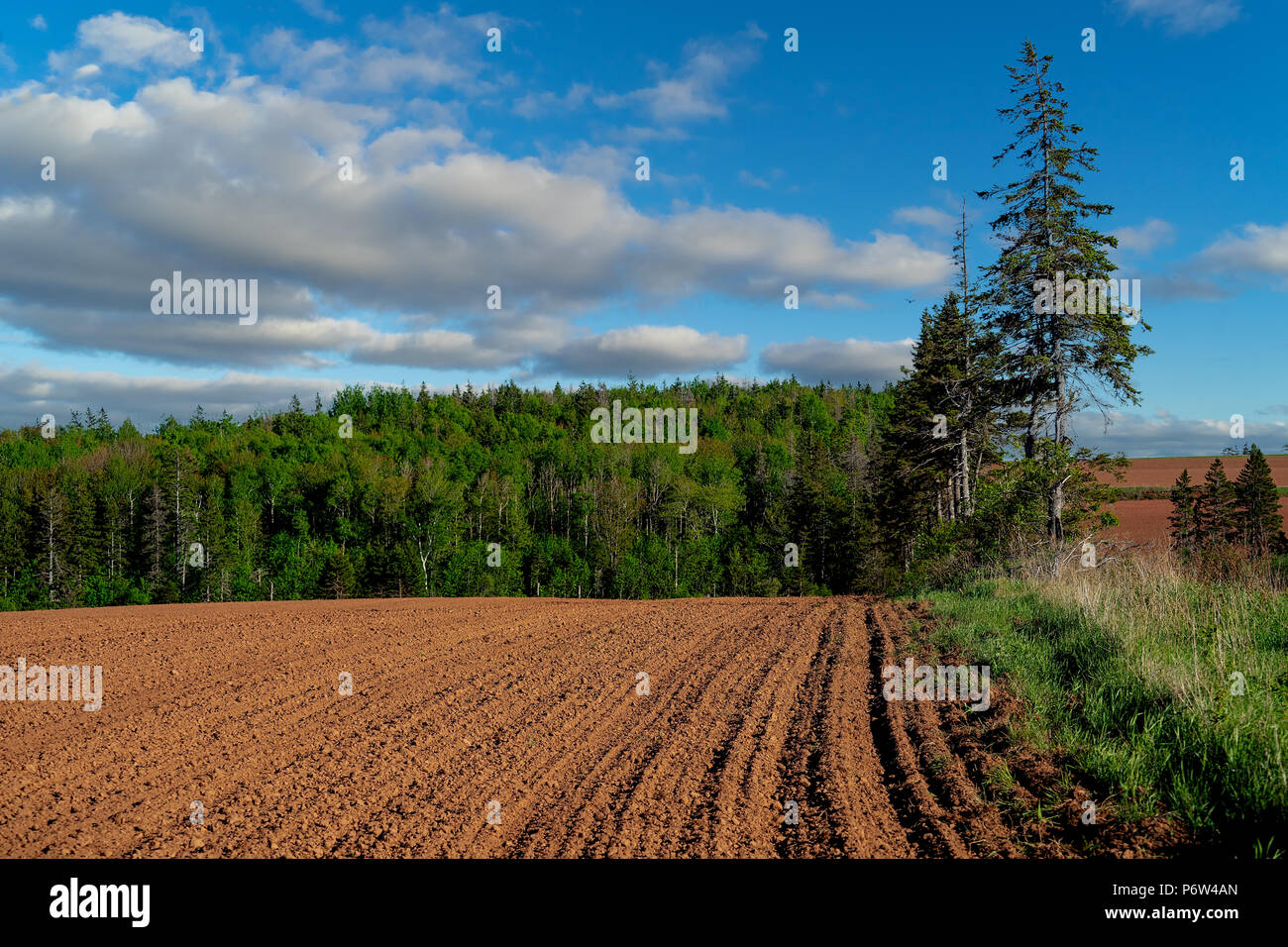 Canada Potato Farming High Resolution Stock Photography and Images - Alamy