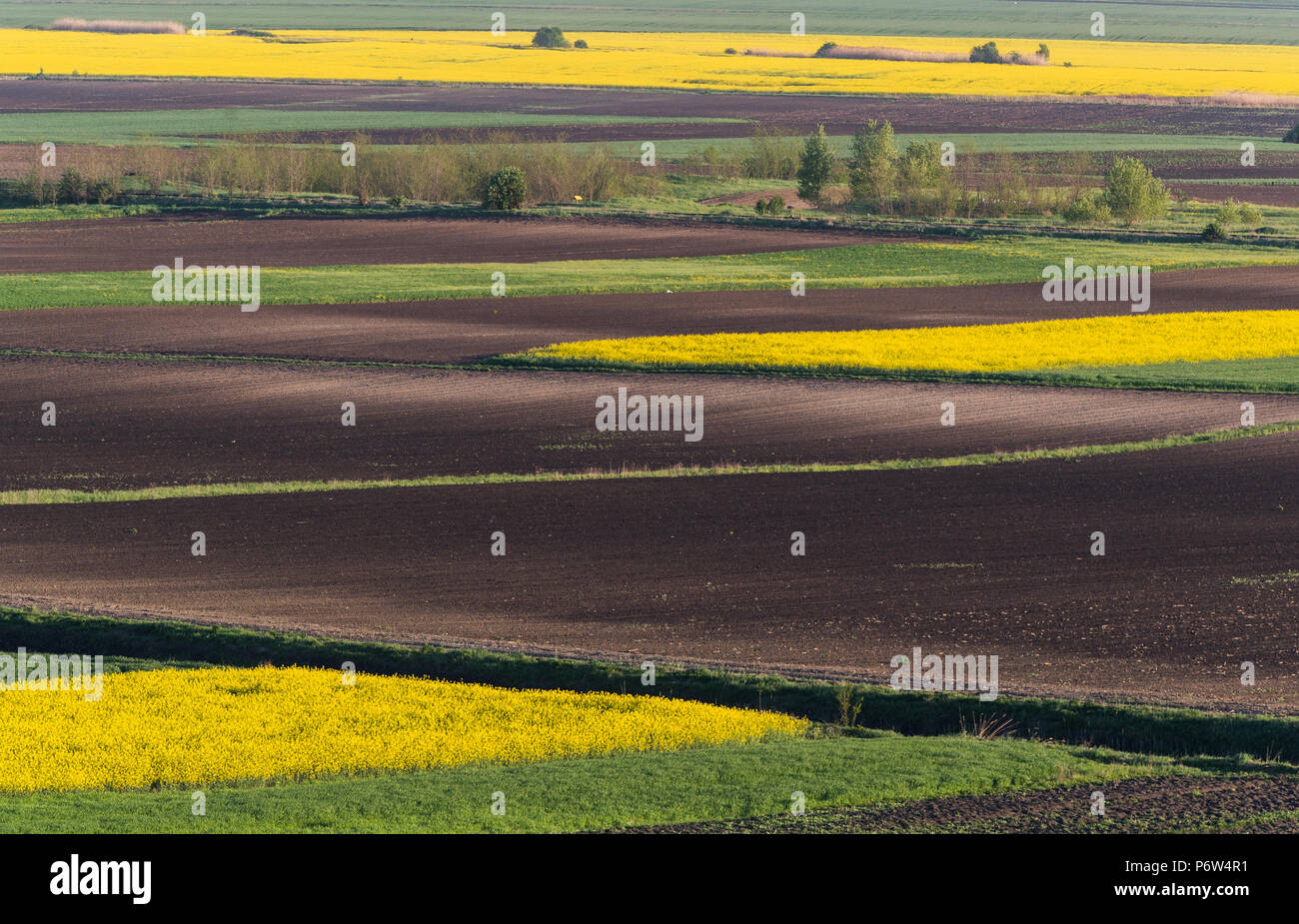 Agricultural landscape, arable crop field Stock Photo - Alamy
