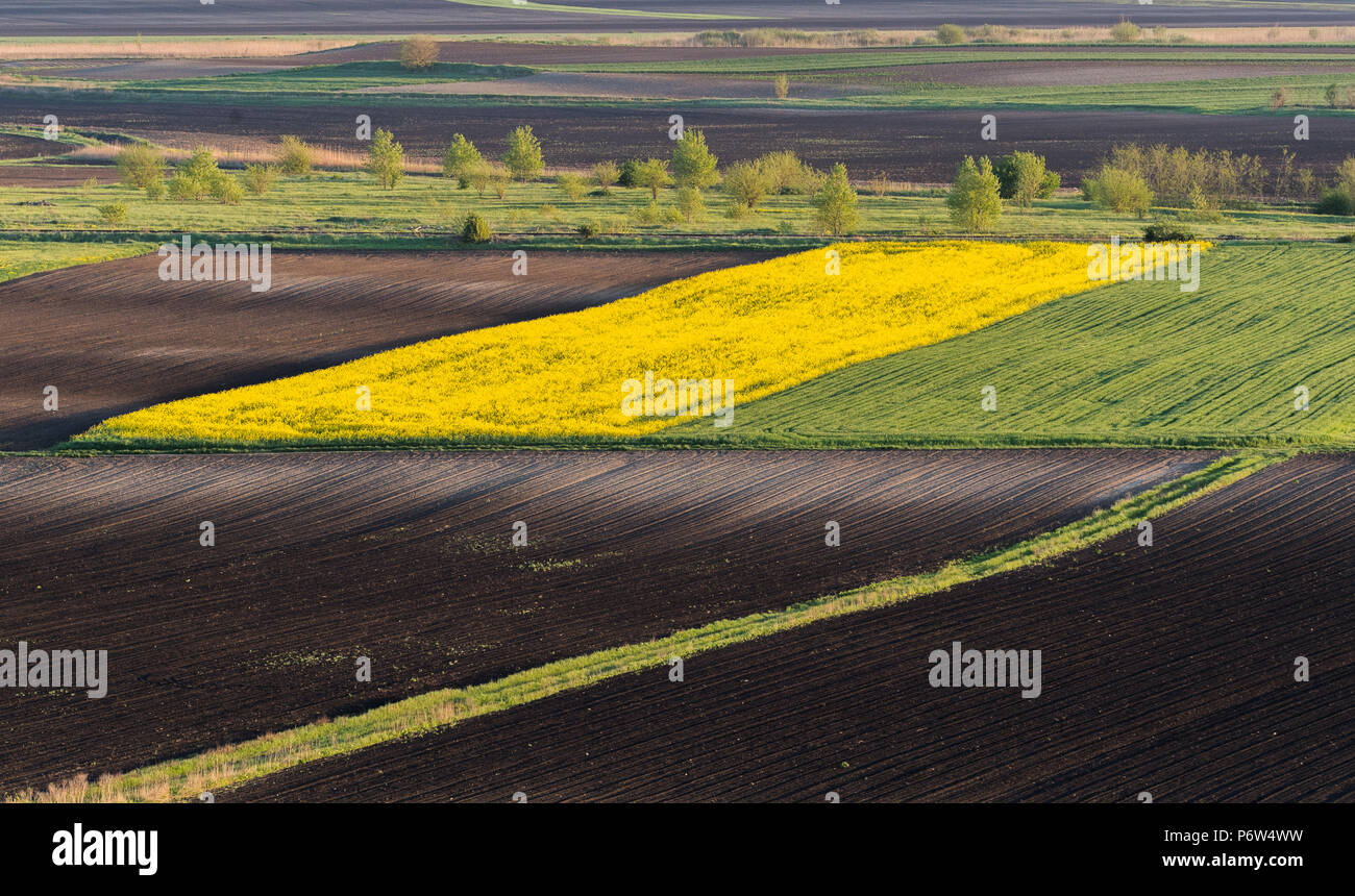 Agricultural landscape arable crop hi-res stock photography and images ...