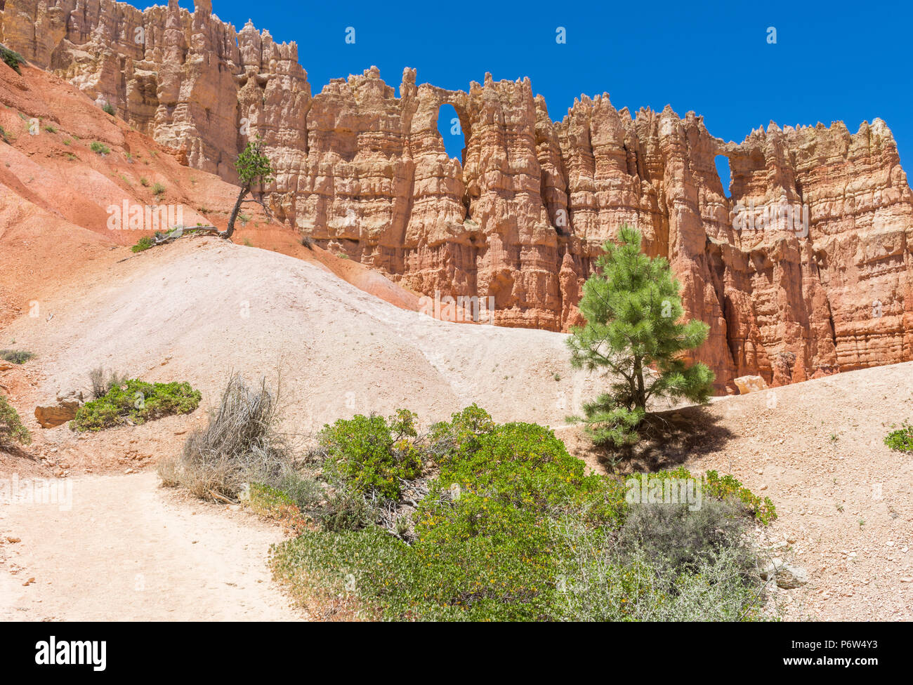 Bryce canyon wall of windows hi-res stock photography and images - Alamy