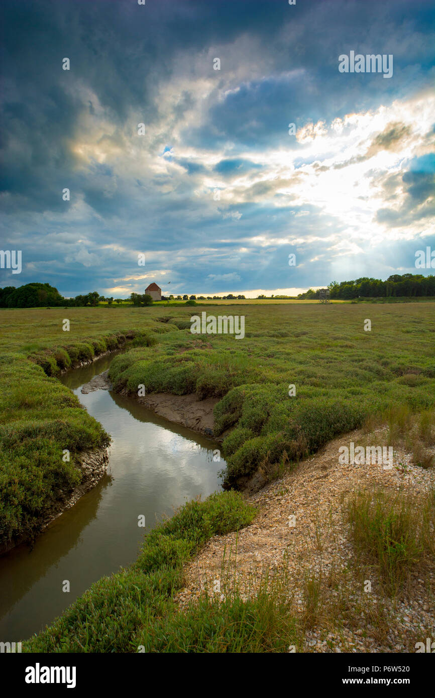 Salt marsh coast Stock Photo - Alamy