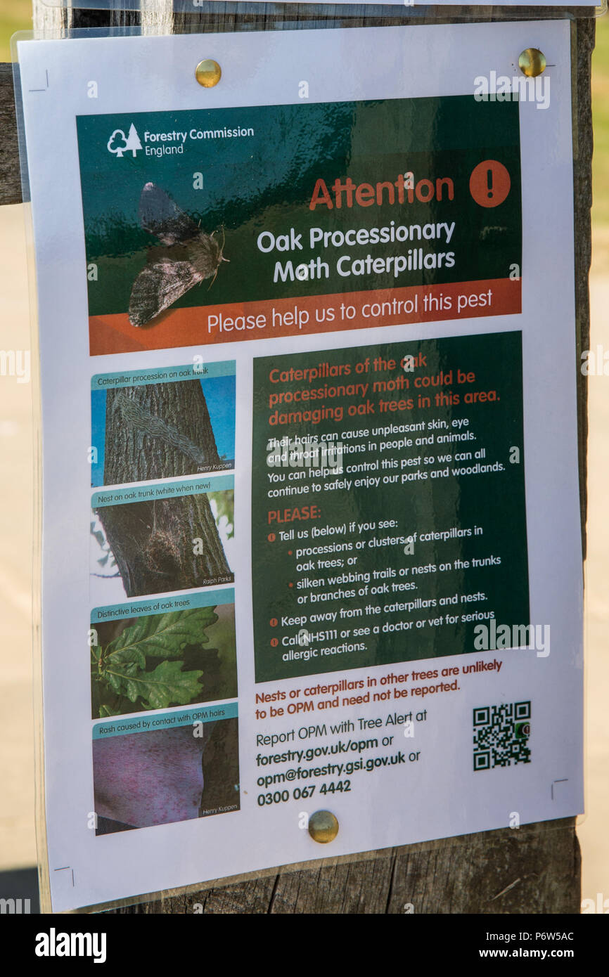Oak processionary moth warning sign hi-res stock photography and images ...
