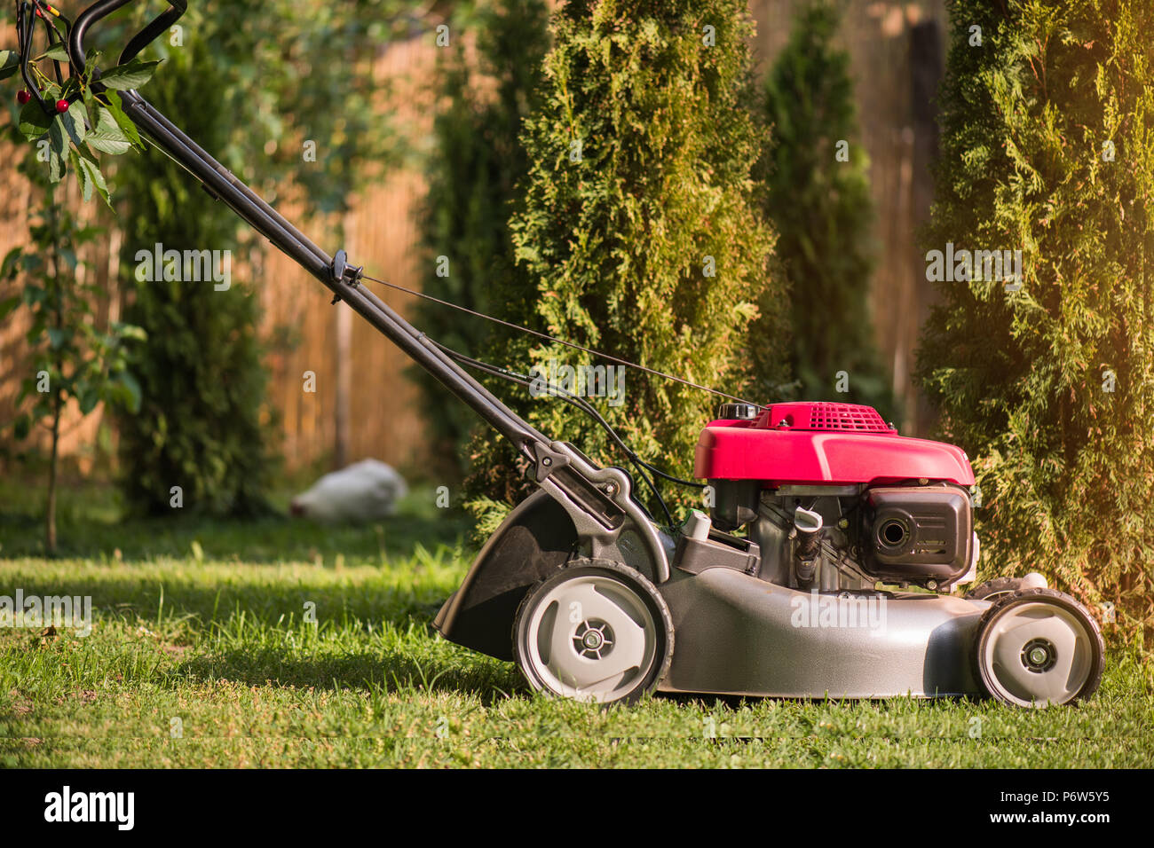 Red Lawn mower cutting grass Stock Photo - Alamy