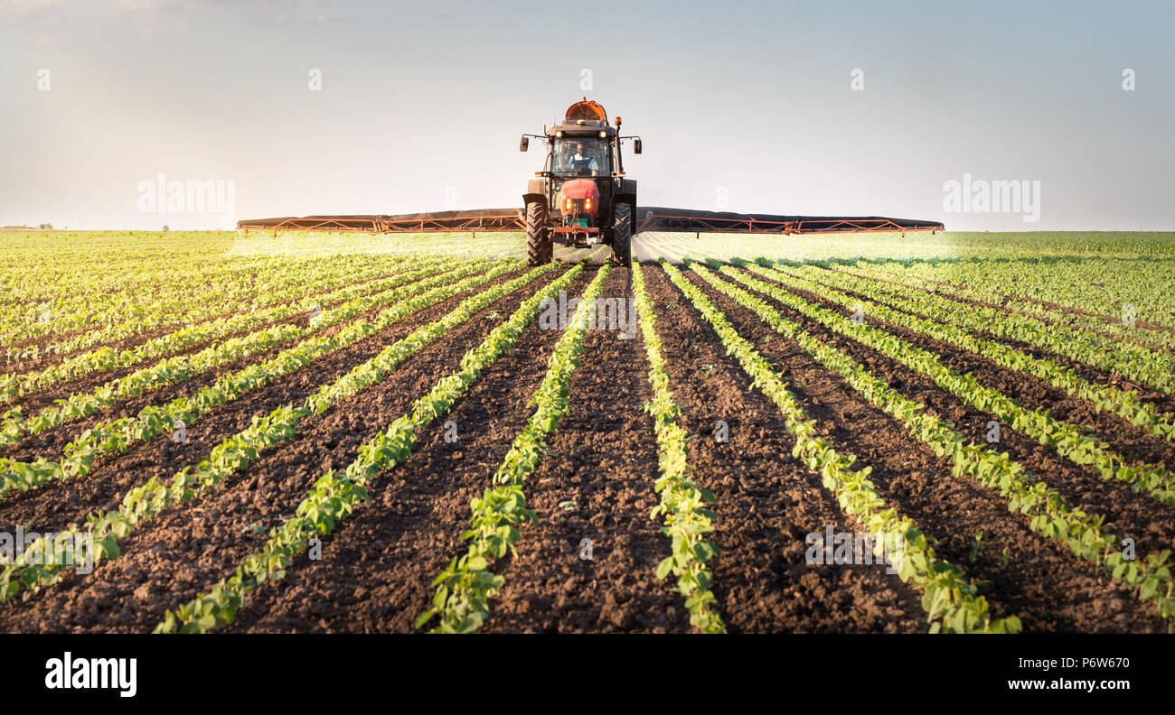 Tractor spraying soybean field at spring Stock Photo - Alamy