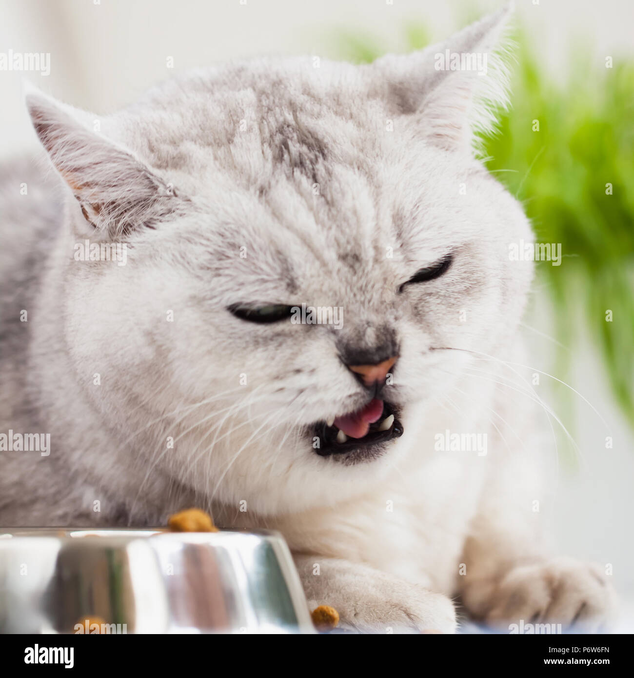Pleasing expression hi-res stock photography and images - Alamy