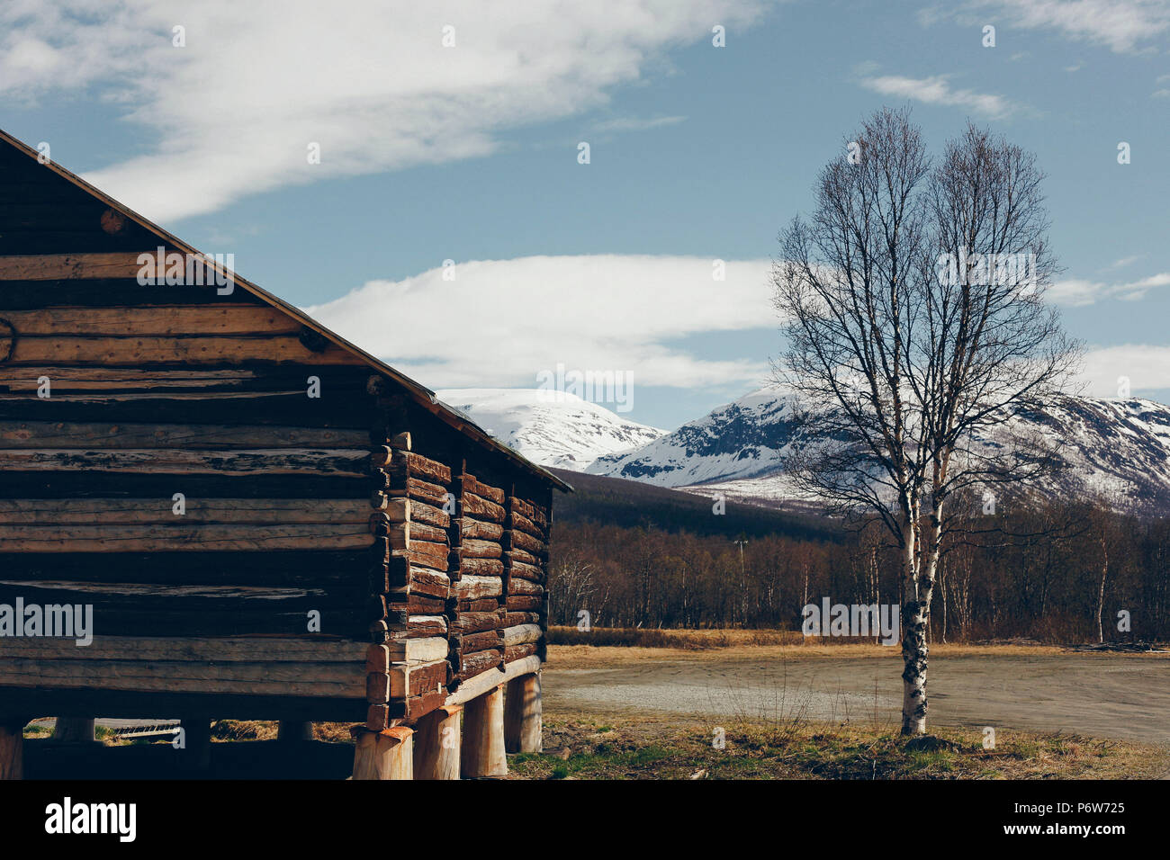 Norwegian landscapes with snow and trees Stock Photo - Alamy