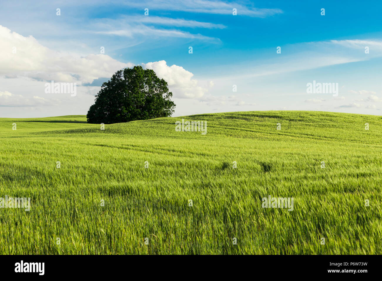 Nikon 35mm hi-res stock photography and images - Alamy