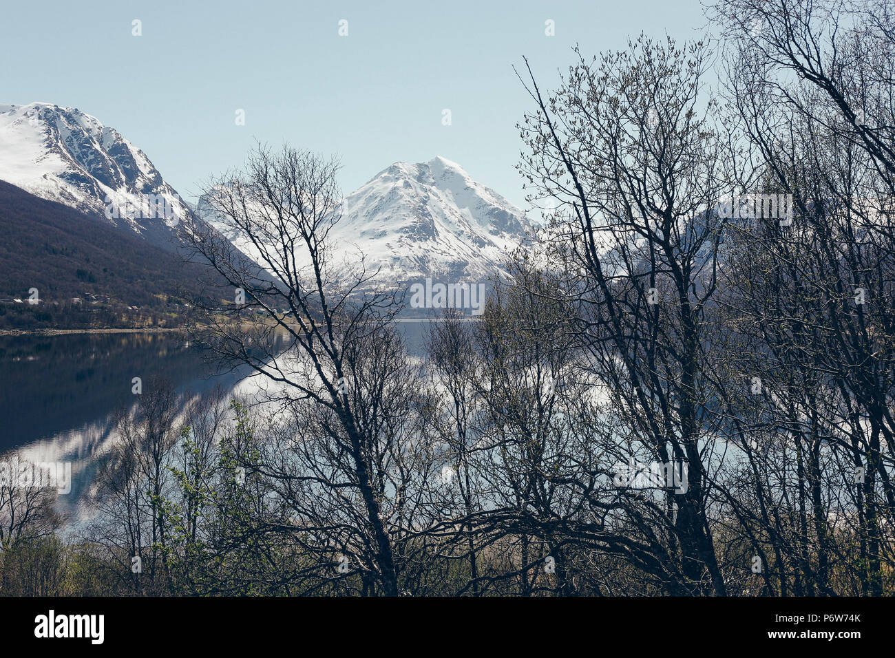 Norwegian landscapes with snow and trees Stock Photo - Alamy