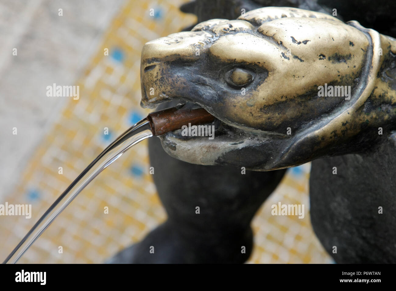 Siena - turtle fountain Stock Photo - Alamy