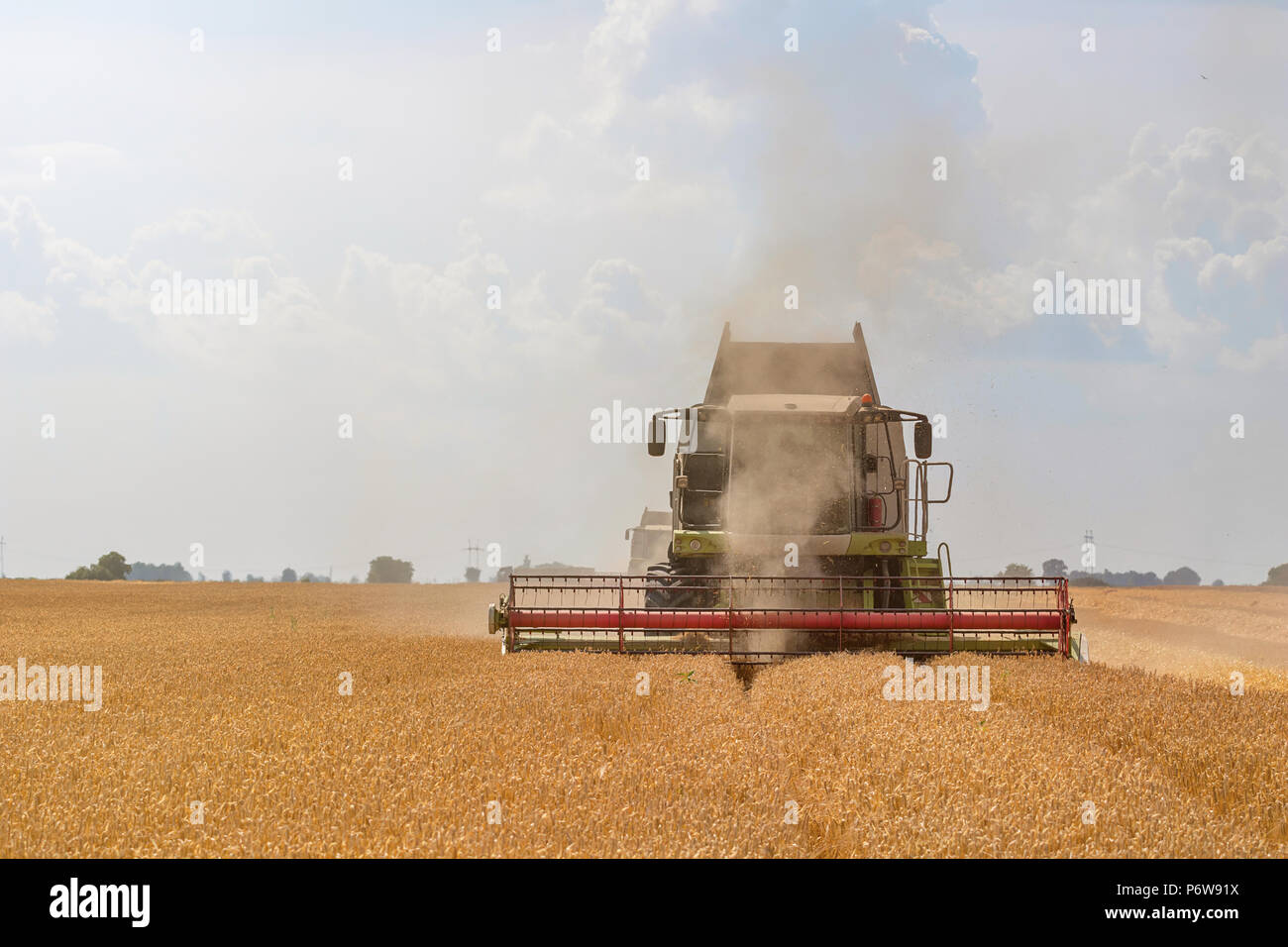 Combine harvesting a wheat field. Combine working the field Stock Photo ...