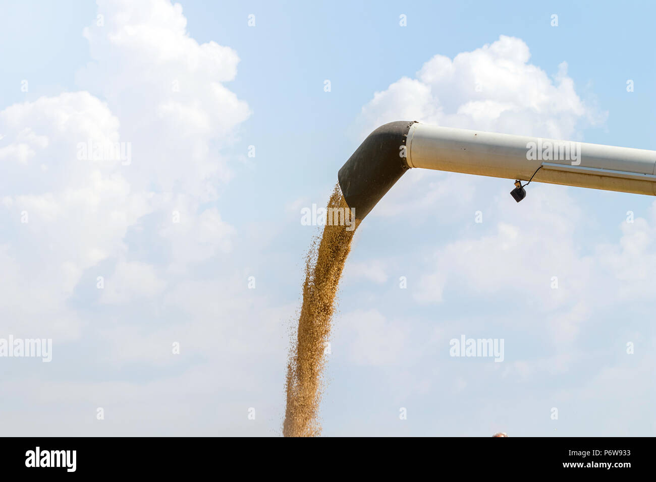 Harvester unloading wheat Stock Photo - Alamy