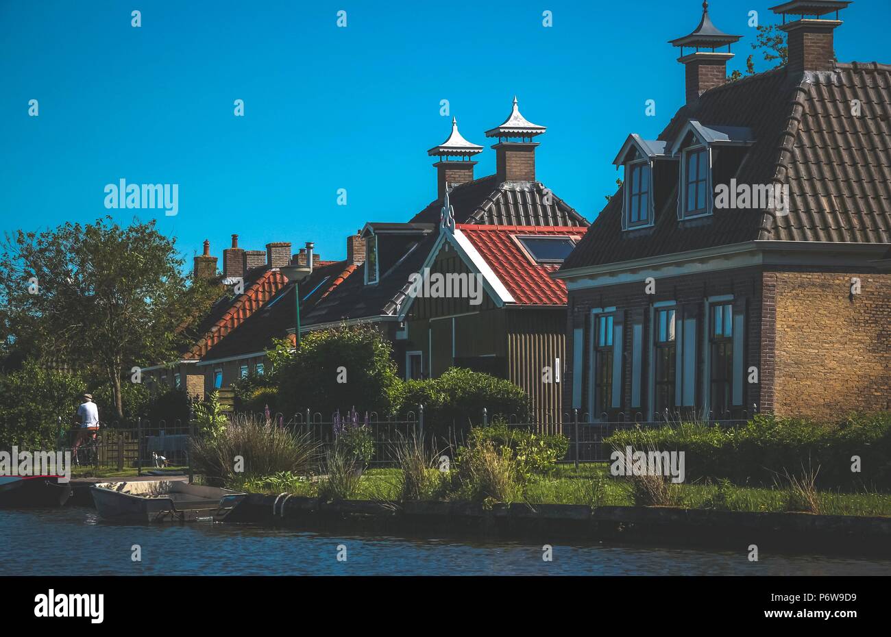 Dutch landscape in the summertime with flowers and plants Stock Photo ...