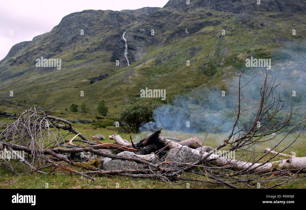 Rough nature in Norwegian landscape in the summer Stock Photo - Alamy