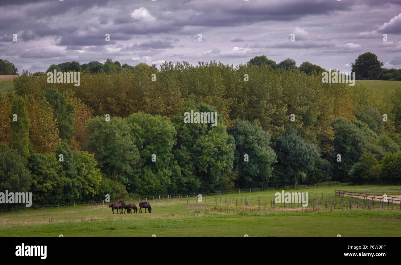 French landscape in summer in France Stock Photo - Alamy