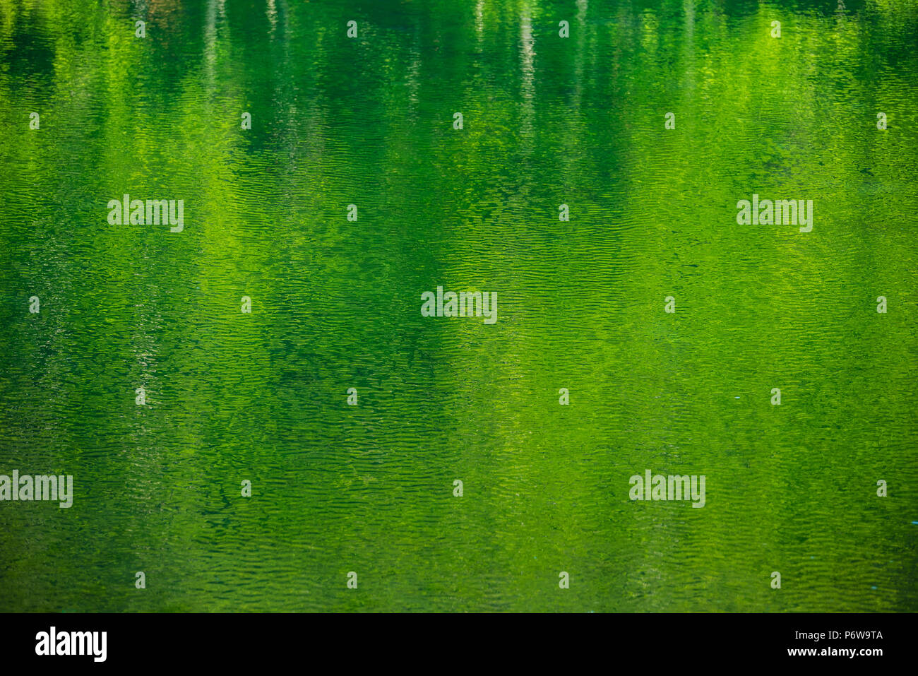 Reflection on the surface of the water Stock Photo - Alamy