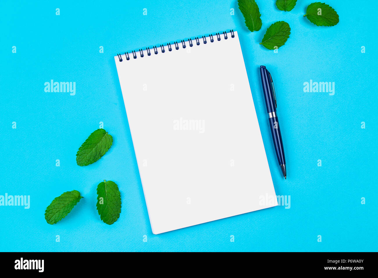 An empty notebook with a blue handle and mint leaves on a blue pastel ...