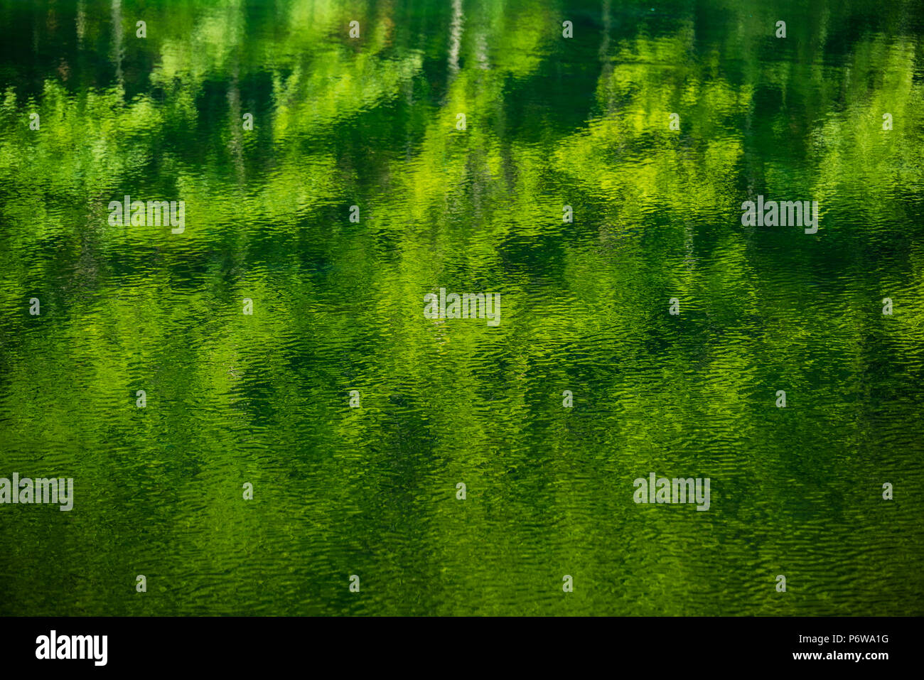 Reflection on the surface of the water Stock Photo - Alamy