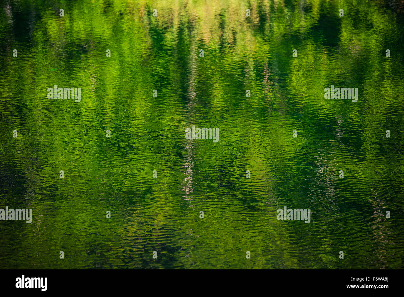 Reflection on the surface of the water Stock Photo - Alamy