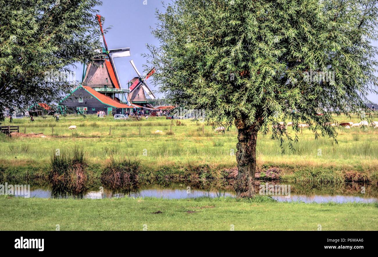 Authentic dutch landscape on a beautiful day Stock Photo - Alamy