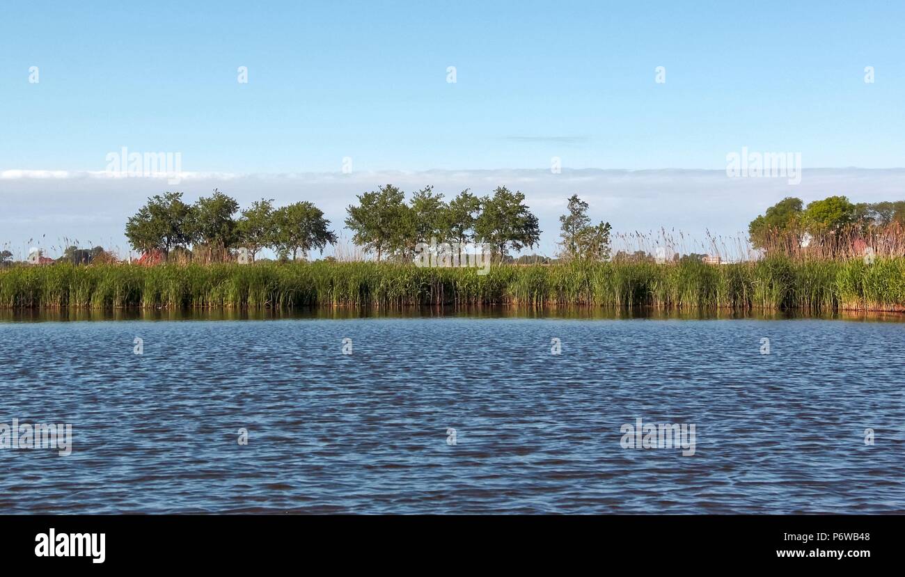 Dutch landscape in the summertime with flowers and plants Stock Photo ...