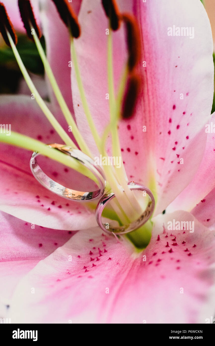 Wedding rings inside flowers Stock Photo - Alamy