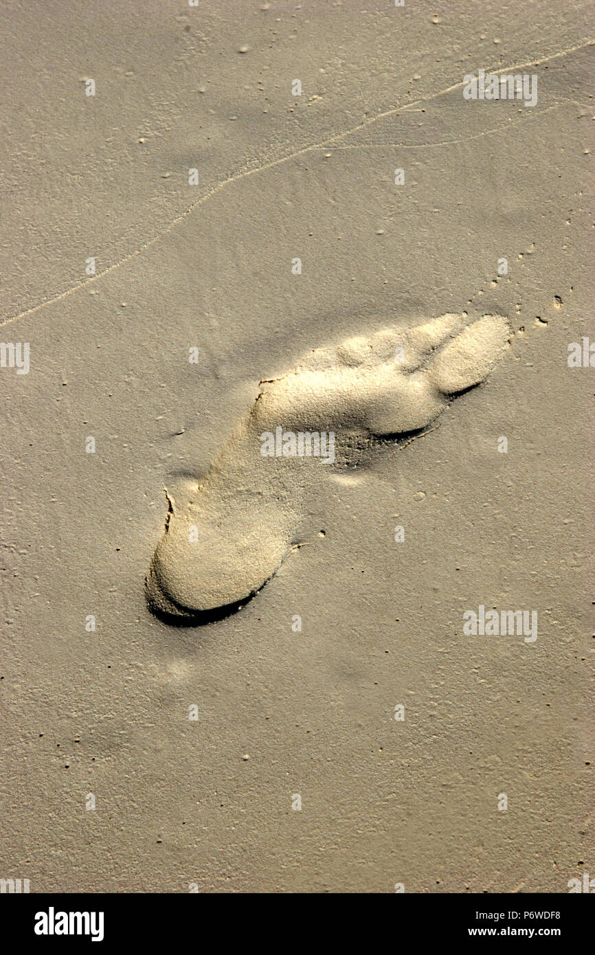 A single footprint in the sand Stock Photo - Alamy