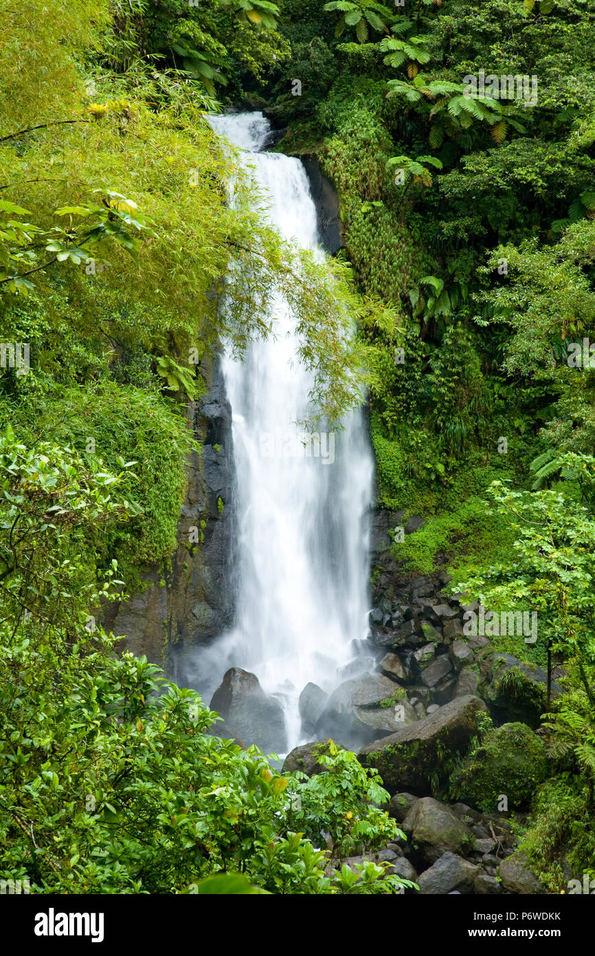 A beautiful waterfall flows down through lush tropical forest Stock ...