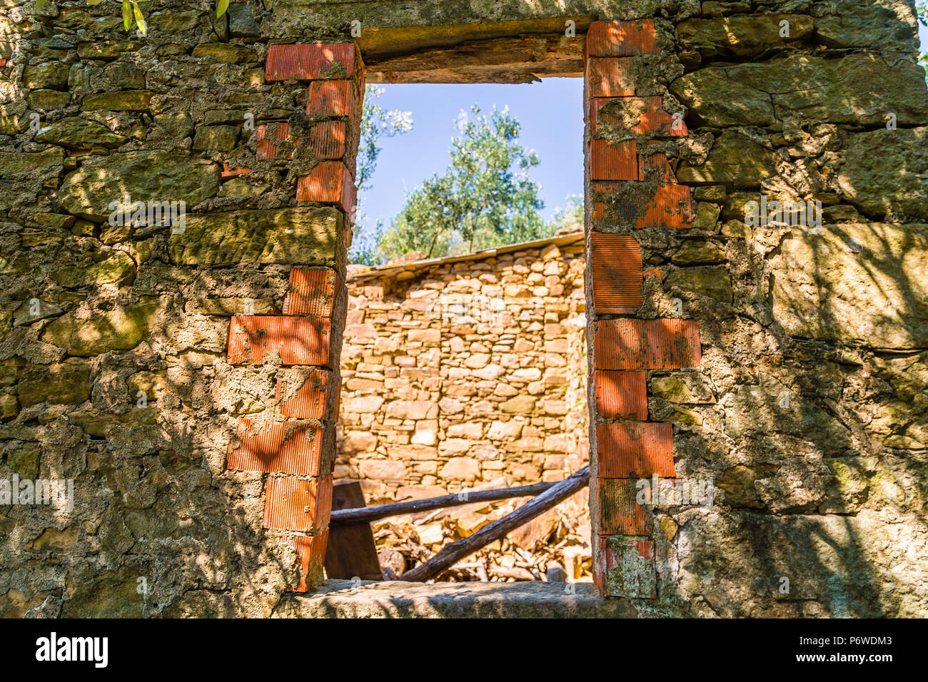 window on olive tree in ruined brick wall Stock Photo - Alamy