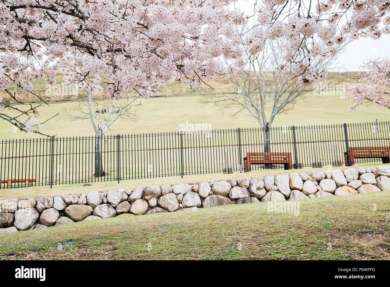 Nara art park hi-res stock photography and images - Alamy