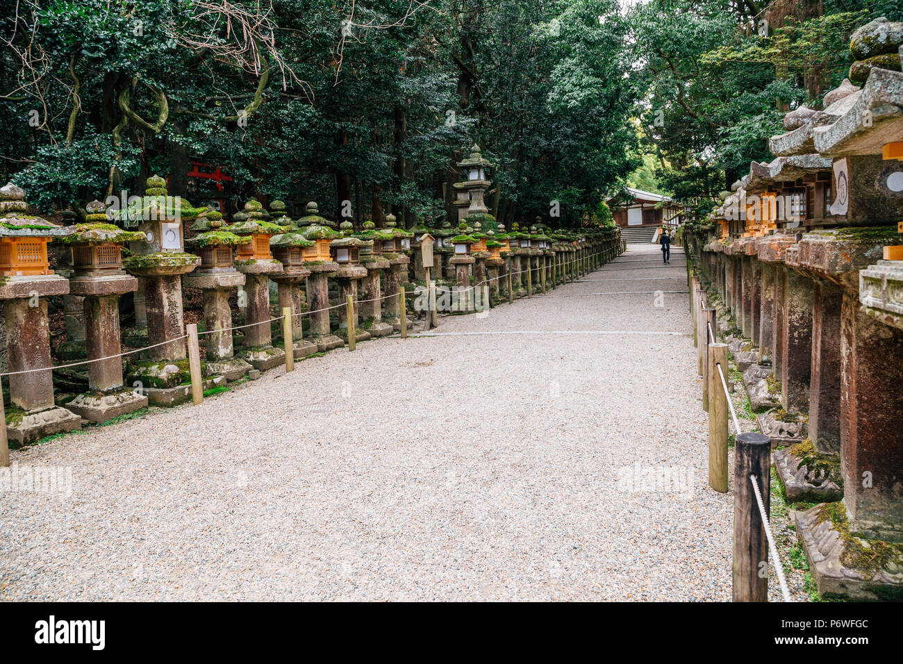 Japanese Street Lamp High Resolution Stock Photography and Images - Alamy