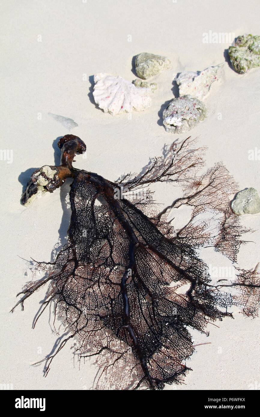 Fan beach hi-res stock photography and images - Alamy