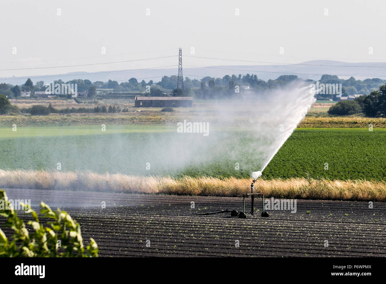 Burscough, Lancashire. UK Weather. 03/07/2018. Circle Irrigation, or ...