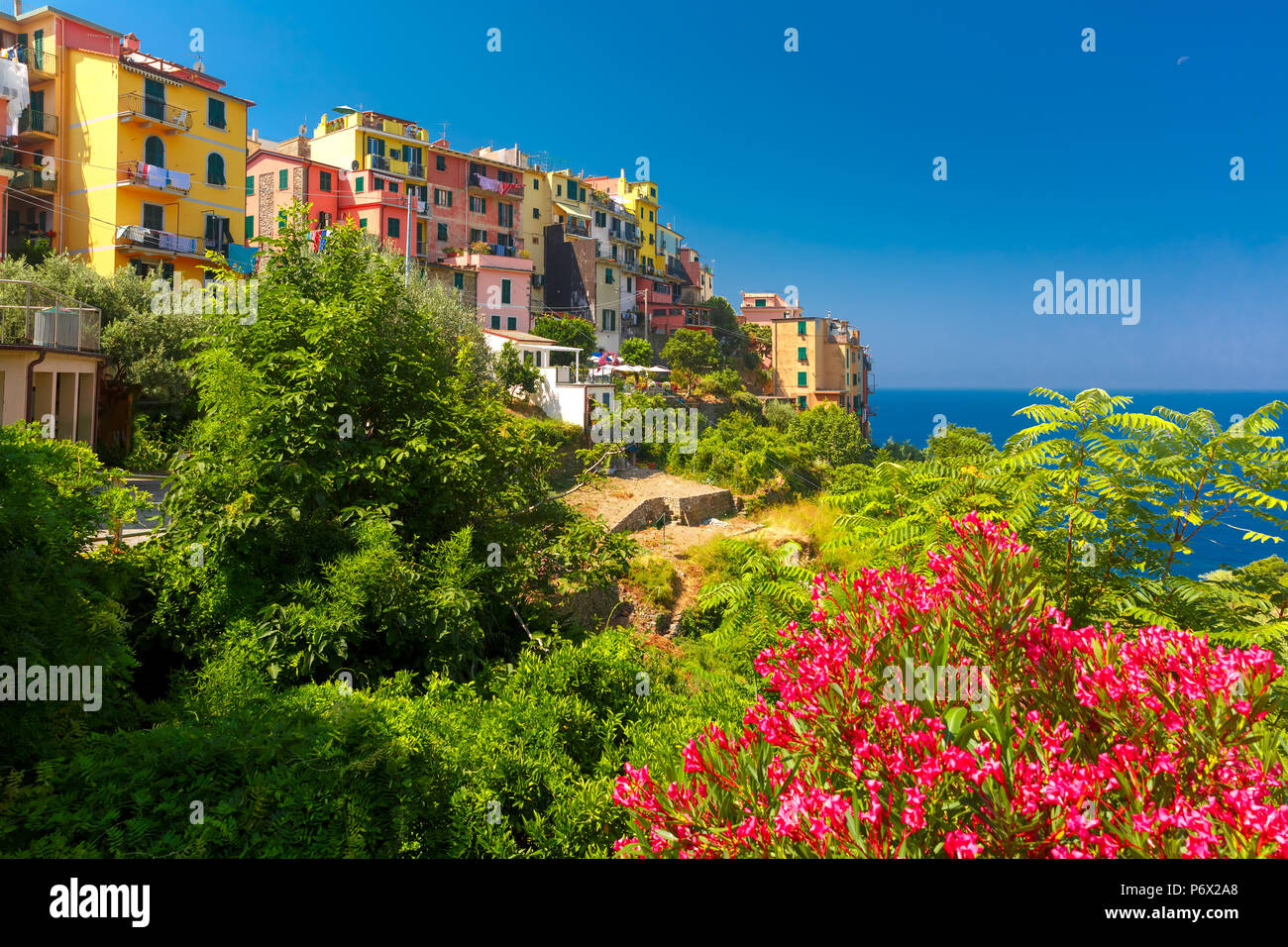 Top 5 beach hi-res stock photography and images - Alamy