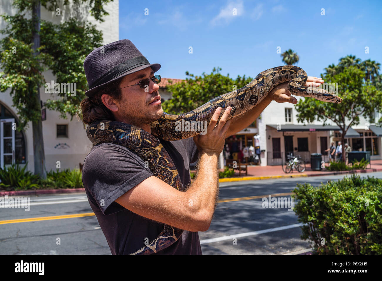 Pet boa snake handler hi-res stock photography and images - Alamy