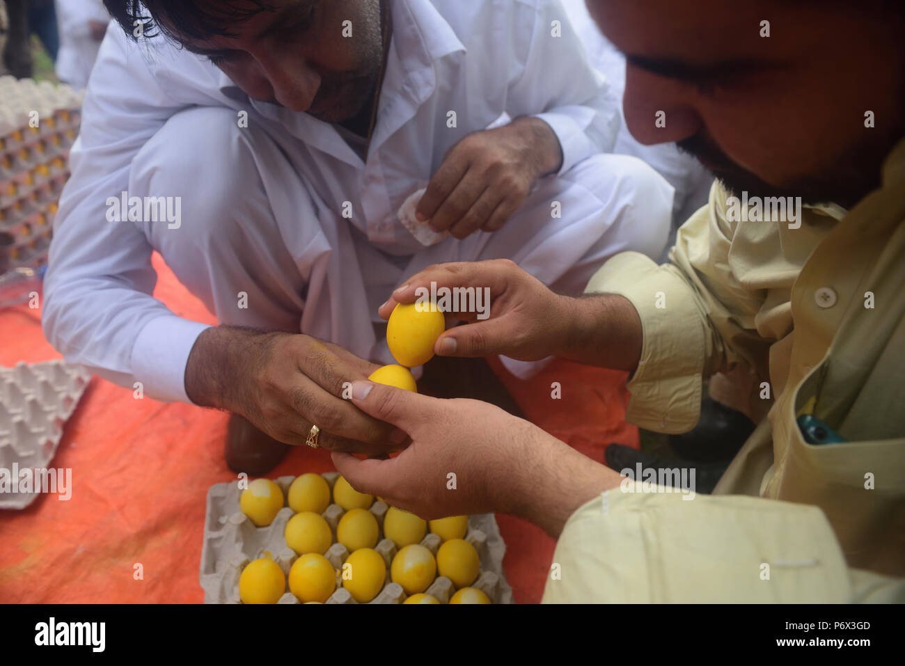 Afghan egg fight hi-res stock photography and images - Alamy