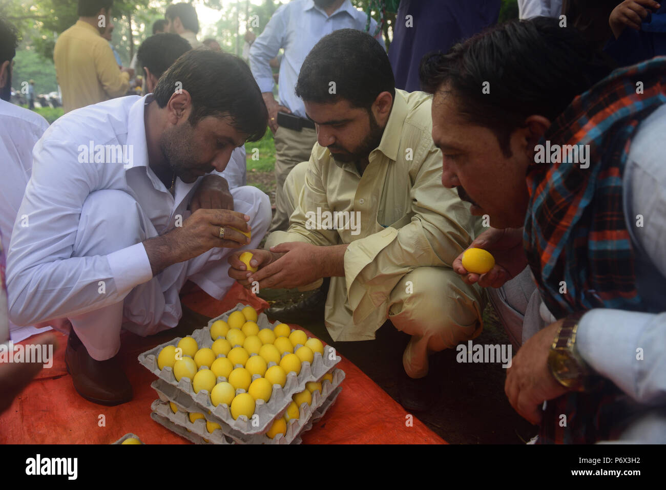 Afghan egg fight hi-res stock photography and images - Alamy