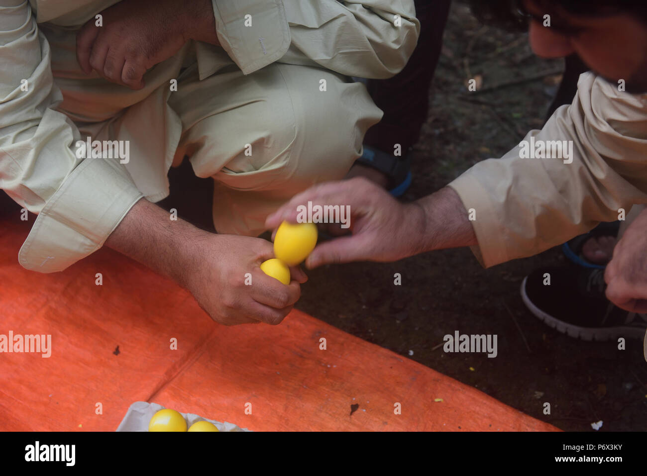 Afghan egg fight hi-res stock photography and images - Alamy