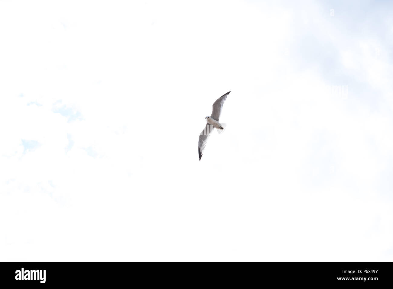 Flying bye hi-res stock photography and images - Alamy