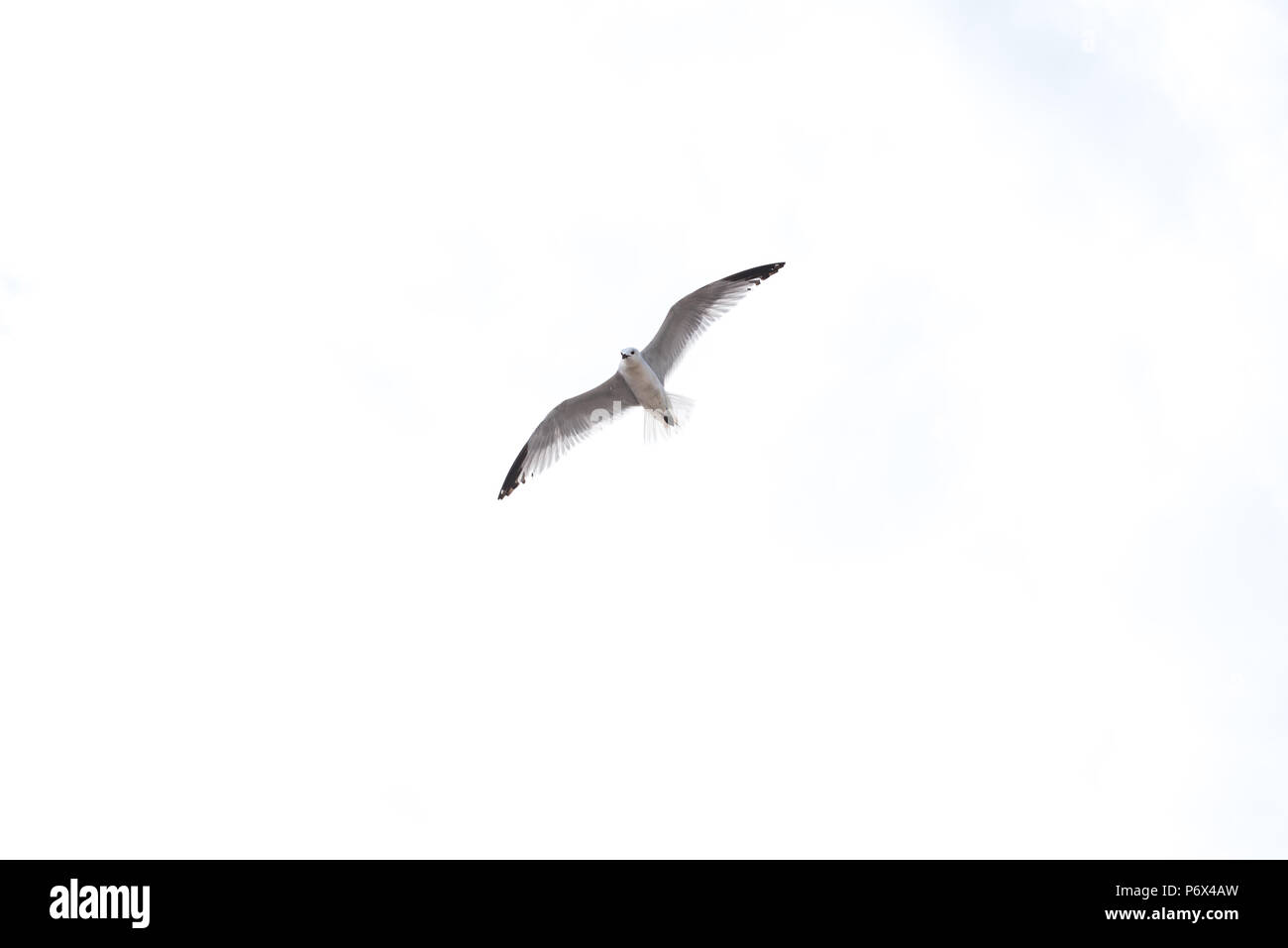 Cloudy white sky over Cut Out Stock Images & Pictures - Alamy