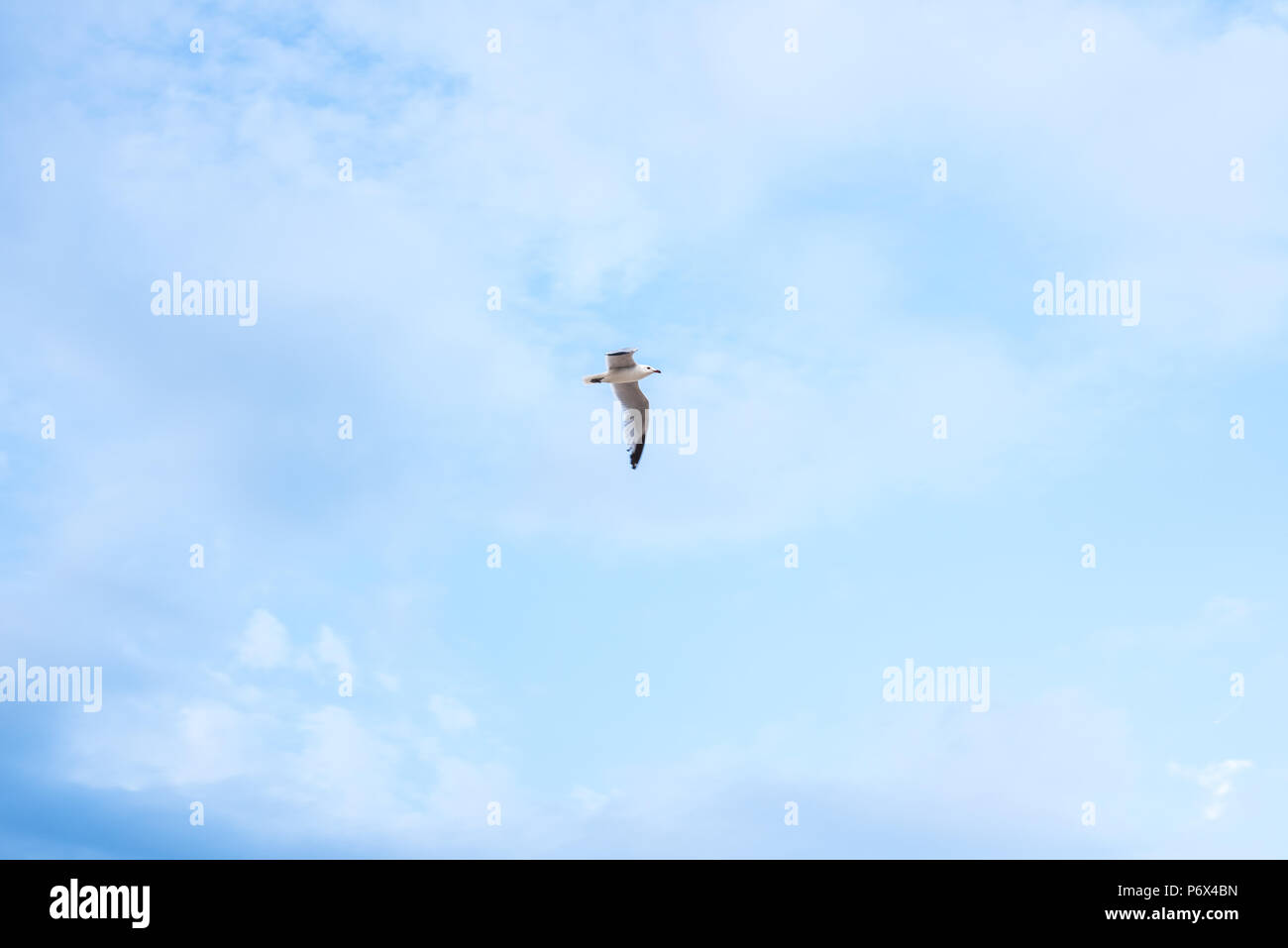 Flying bye hi-res stock photography and images - Alamy